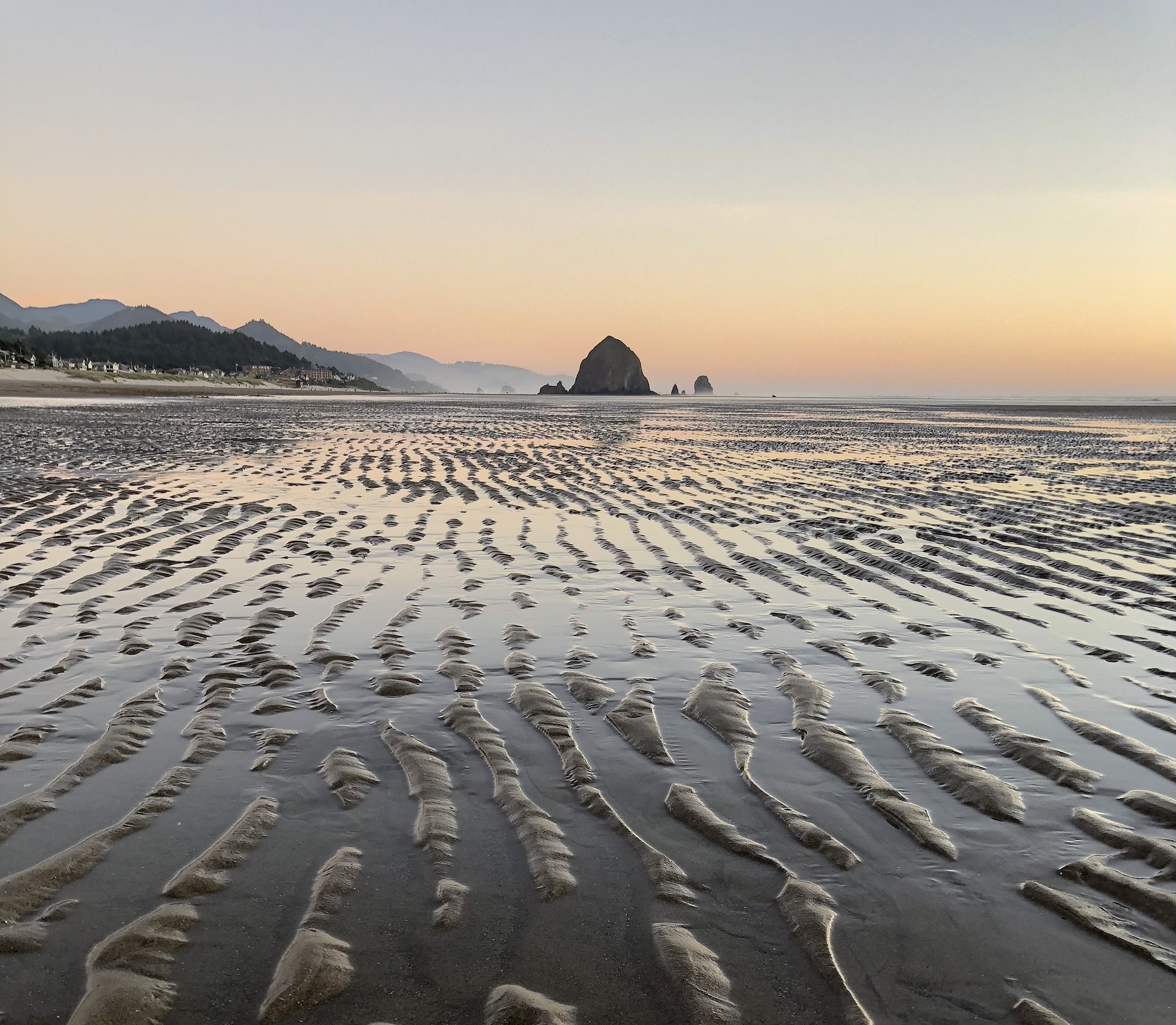 Camp Spies helps you get reservations at sold-out campgrounds